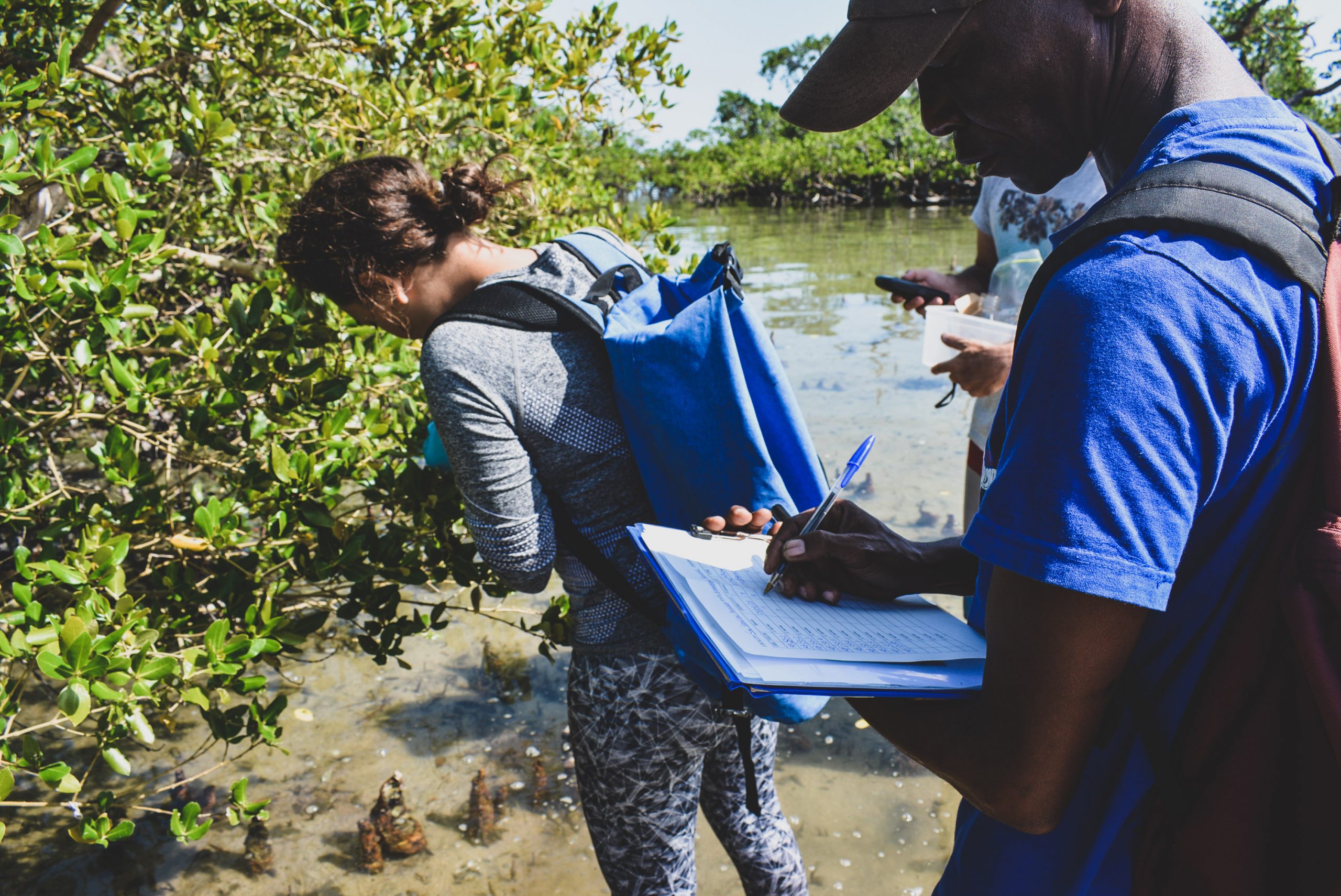 Job opportunity: BCSS is looking for a Fieldwork Manager - BCSS